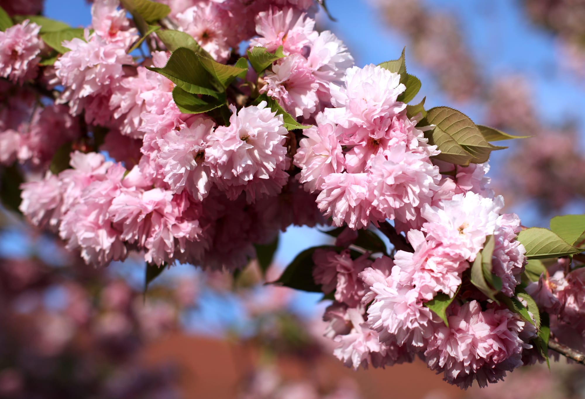 Week 14, 2024 - Writing, debugging and history